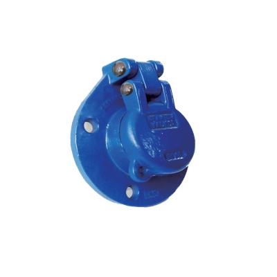 China Metallic Seat Flap Valve Industrial With Ductile Iron Material for sale