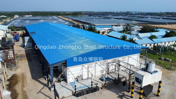 Quality Custom Steel Structure Warehouse Environmentally Friendly Q235 Q355B C And Z Purlin for sale