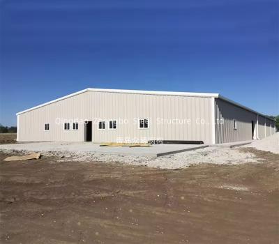 China Steel Structure Warehouse suitable for industrial manufacturing storage and distribution centers requiring infrastructure for sale