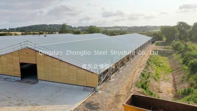 China Customizable Steel Structure Poultry House with Durable Prefabricated Frame for Easy Assembly Chicken Farming for sale