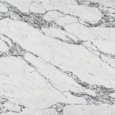 Cina 3200x1600mm Modern Quartz Countertops Taglio a bordo retto in vendita
