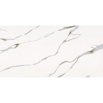 Cina Surprise Granite Marble & Quartz Countertops Variety Of Colors Kitchen Countertop in vendita