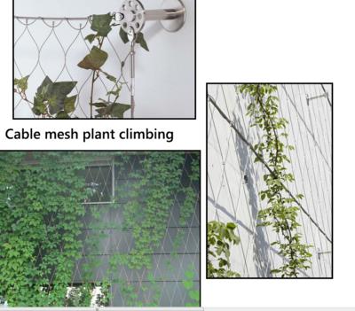 China stainless steel cable mesh for green wall system/green clambling mesh for sale