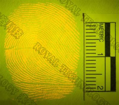 Cina Deposito del metallo di vuoto dell'oro PVD sull'applicazione legale/evaporazione termica dell'Au su rappresentazione del segno dell'impronta digitale in vendita