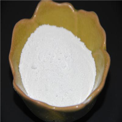 Cina Polvere bianca del rutilo del biossido di titanio Tio2 dell'OEM per pittura industriale in vendita