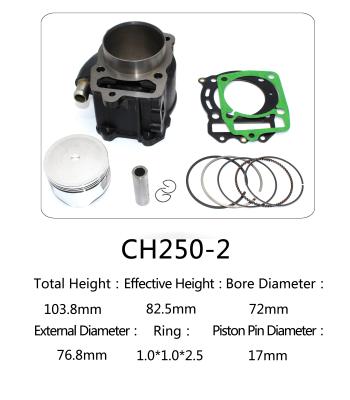 China Honda Motorcycle Cylinder Kit  , Water Cooled Cylinder Block Kit CH250 for sale