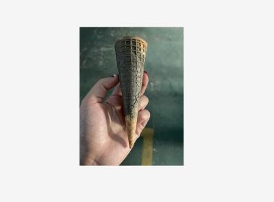 China Gas Power Tunnel 5kg/H Sugar Ice Cream Cone Making Machine for sale