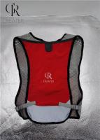 China Customizable Lightweight Hydration Backpack 30x3x20cm Polyester for Running Cycling for sale
