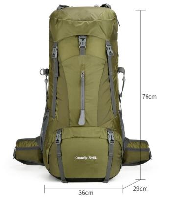 China Reflective Printing Easy Strap Hiking Rucksack For Lightweight Backpacking for sale