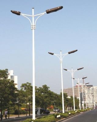 China Street Poles Steel Frame Structure Outdoor Light Pole 20 M  Single / Double Arm for sale