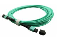 China 24F OM4 TypeB MPO MTP 3.0mm 3D tested Elite Loss patch cable for sale