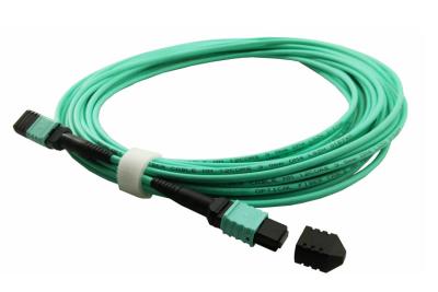 Китай 24F OM4 TypeB MPO MTP 3.0mm 3D испытало кабель заплаты потери элиты продается
