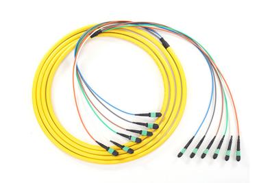 China OEM OM3 40G Koord van het de Kabelg655 G657 MTP MPO Flard van de Vezel het Optische Boomstam Te koop