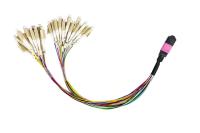 China High Density Multimode MPO MTP Cable To LC 24 Cores OM4 Hydra Cable Assemblies for sale