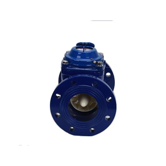 Quality DN50-DN250 Big Water Meter Universal Application Flange Type Water Meter for sale