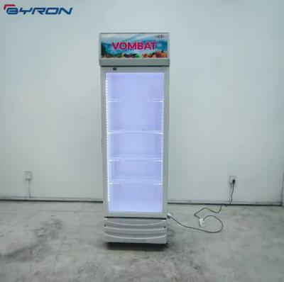 China Direct Cooling Single Door Display Fridge Commercial Beverage Fridge for sale