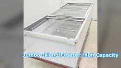 Commercial Island Freezer Jumbo Glass Top Display Fridge