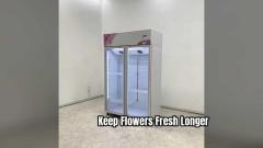 Professional Floral Display Cooler for Fresh Flower Shops
