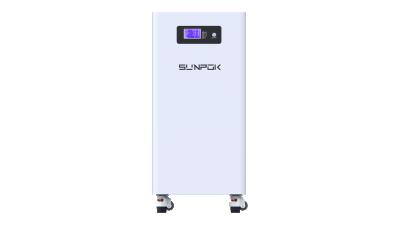 China 48V 51.2V 300Ah 314Ah 15kwh Lithium Battery Wall Mount Home Lifepo4 Battery Energy Storage Smart Bms 8000 Deep Cycle for sale