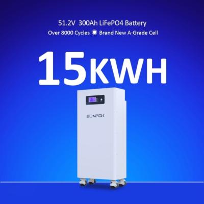 China Best Selling LiFePO4 Energy Storage System Battery 15KWh 51.2V 300Ah Lithium Ion Batteries with Smart BMS for sale