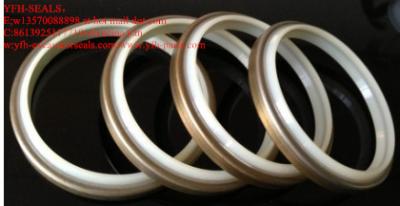 China DKBI cylinder seals for sale