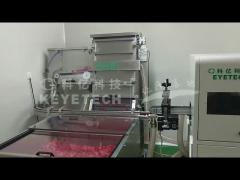 FMCG Packaging Butterfly Cover Vision Inspection Machine System 5MP Camera