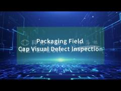 Plastic cap inspection machine