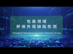 9 Cameras AI-Powered Dairy Bottle Integrity Vision System