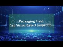 Bottle Cap Vision Quality Inspection Machine For Quality Control High Resolution ODM