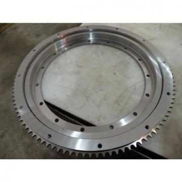 China Detailed Technical Information for Replaceble Rotek Slewing Ring Bearing (A18-80E) for sale