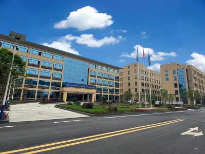 Cina La scelta di alta precisione 0201 e la macchina del posto NON sostituiscono la testa modulare 80000CPH in vendita