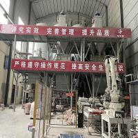 China Automatic Dry Powder Mortar Production Line Tile Adhesive Making Machine 5-100 TPH for sale