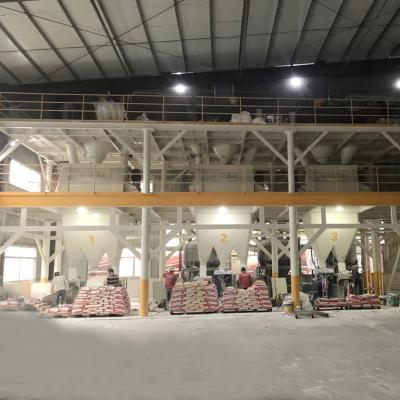 China Vertical Screw Dry Mix Concrete Plant Carbon Steel Dry Mix Plaster Plant for sale