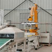China Automatic Paper Box Robotic Arm Palletizer 3220mm Working Radius Muddy Powder Palletizing Robot for sale