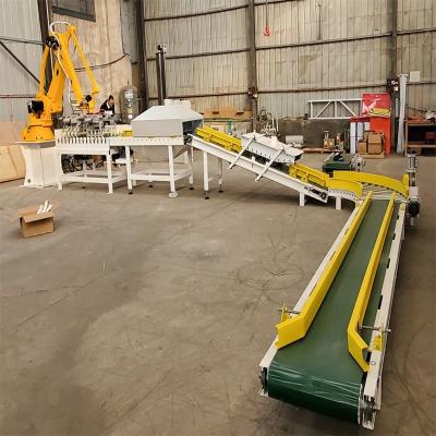 China PLC Warehouse Robotic Arm Palletizer 4 Axis Robotic Case Palletizing for sale