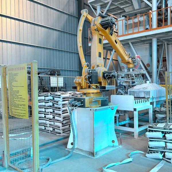 Quality High Accuracy Grabbing Robotic Case Packer And Palletizer Machine For Bags And Cartons for sale
