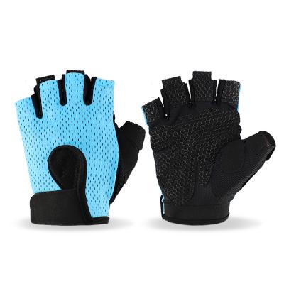 China Eco-friendly personalized anti cut men women universal workout gym gloves fitness for sale