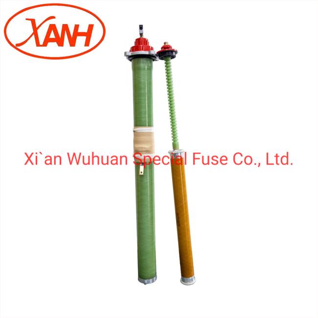 Xrnt4 Model Oil-Immersed Backup High Voltage Current-Limiting Fuse