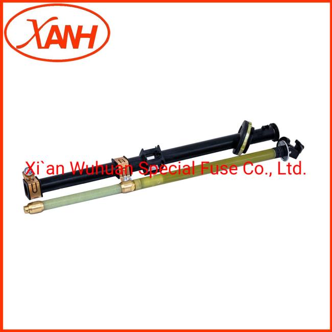 Bay-O-Net Tap Changer Switch Fuse for Oil Transformer Xrnt4-15.5/31.5