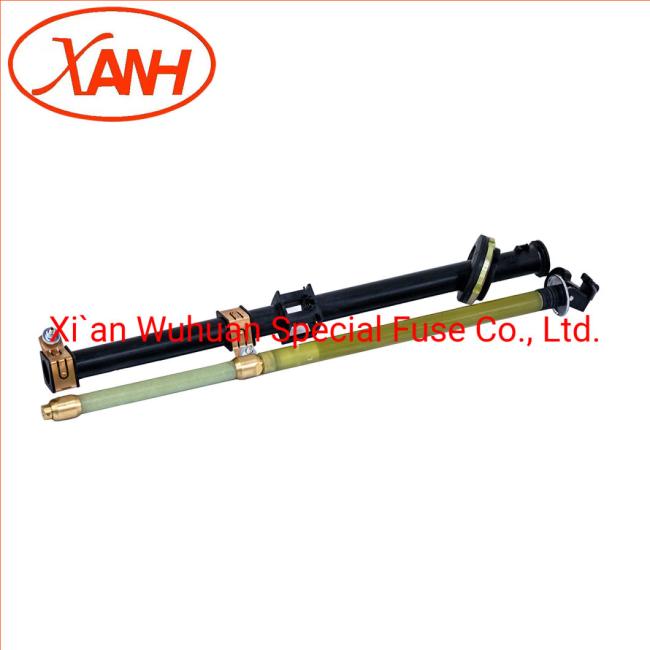 Bay-O-Net Tap Changer Switch Fuse for Oil Transformer Prnt4-24/20