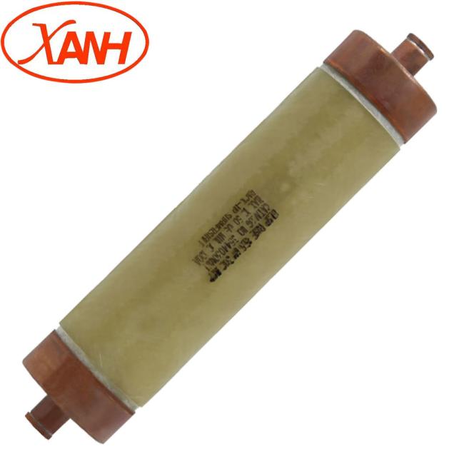 Bay-O-Net Tap Changer Switch Fuse for Oil Transformer Xrnt4-40.5/16