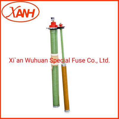 Cina 17.5Kv Capacitor Bank Fuse Insert Installation Xrnt (XDR20) -40.5 in vendita