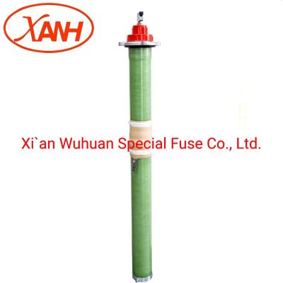 Cina 17.5Kv Capacitor Bank Fuse Insert Installation Xrnt (XDR20) -40.5 in vendita