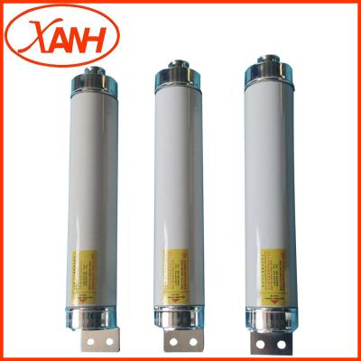 China Insert Dual Element Time Delay Current Limiting Fuse 12Kv Fuse 1 Pole for sale