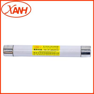 China Insert Dual Element Time Delay Current Limiting Fuse 12Kv Fuse 1 Pole for sale