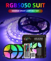 China DC 12V Smart LED Strip Lights 5050 Waterproof Remote Control for sale