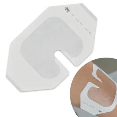 Cina KR-LZT-B Rivestimento a pellicola trasparente completamente automatico per imballaggi di carta di rivestimento IV in vendita