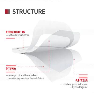 Cina 1500 KG Componenti del nucleo del motore KR-LZT-B Film trasparente di rivestimento per rivestimento IV in vendita