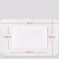 China Advanced PLC Controlled KR-QFT-A Adhesive Wound Dressing Machine for Wound Dressing Patch for sale