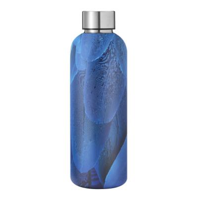 Cina La palestra ha isolato le bottiglie beventi dell'acqua termale di sport con colore dipinto in vendita